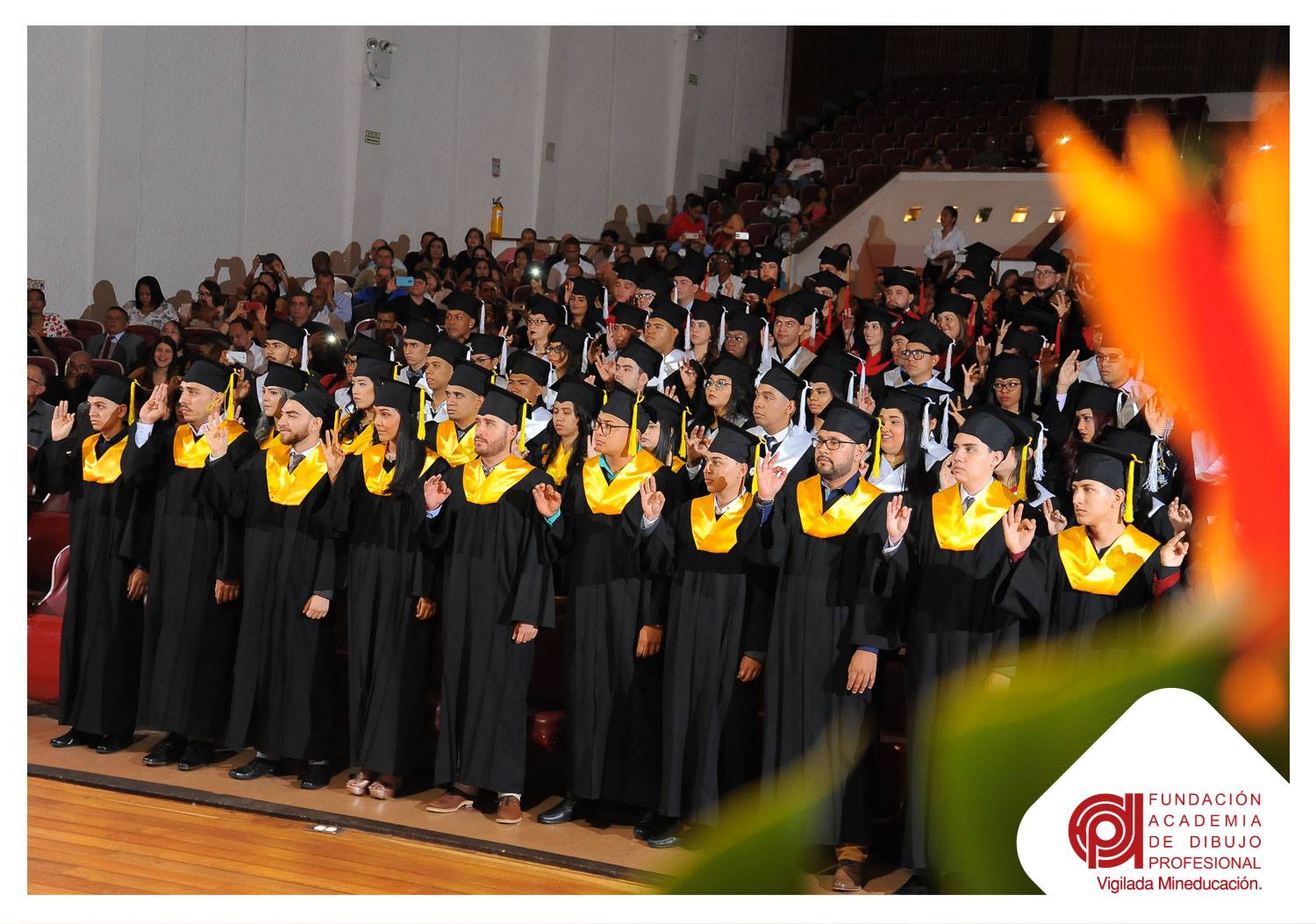 Grados FADP IIP 2018 - Fundación Academia de Dibujo Profesional